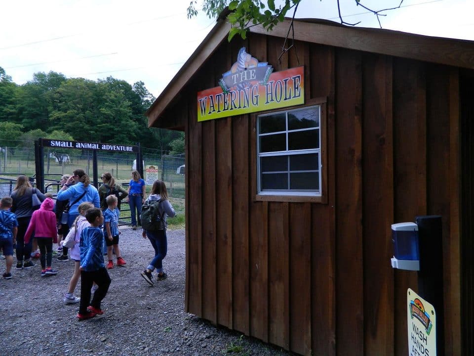 The Watering Hole - Varysburg, NY - Hidden Valley Animal Adventure